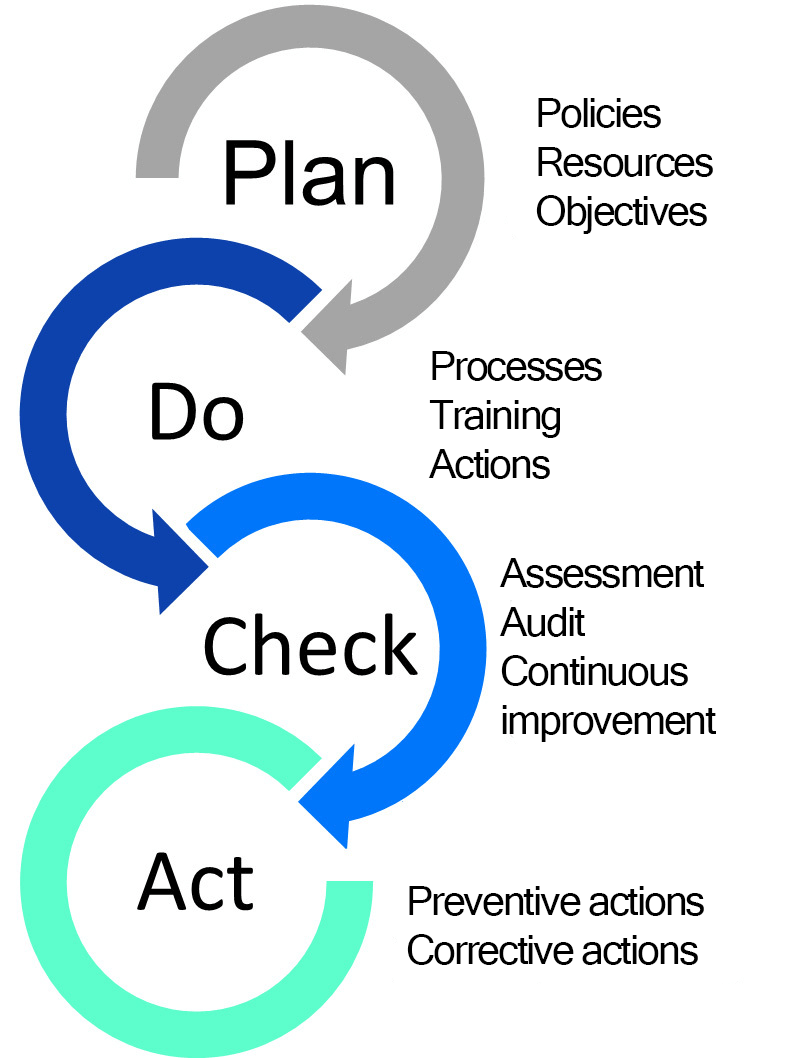 Cyber Security audit - Safetech Innovations